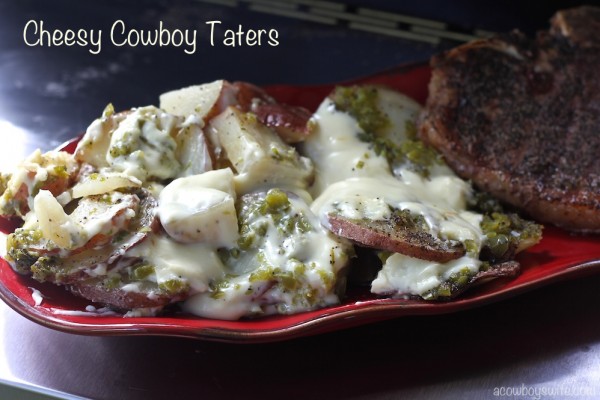 Cheesy Cowboy Taters (that's potatoes for you city folk) - A Cowboy's Wife
