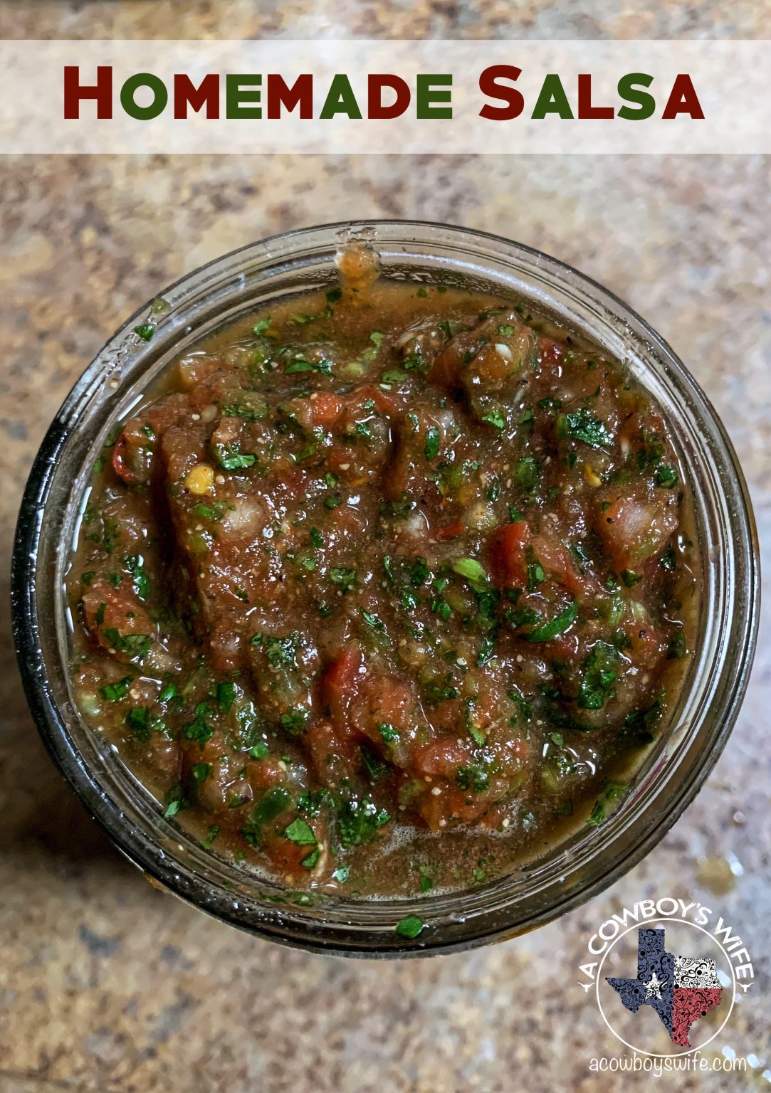 Homemade Salsa with 5 Ingredients - A Cowboy's Wife