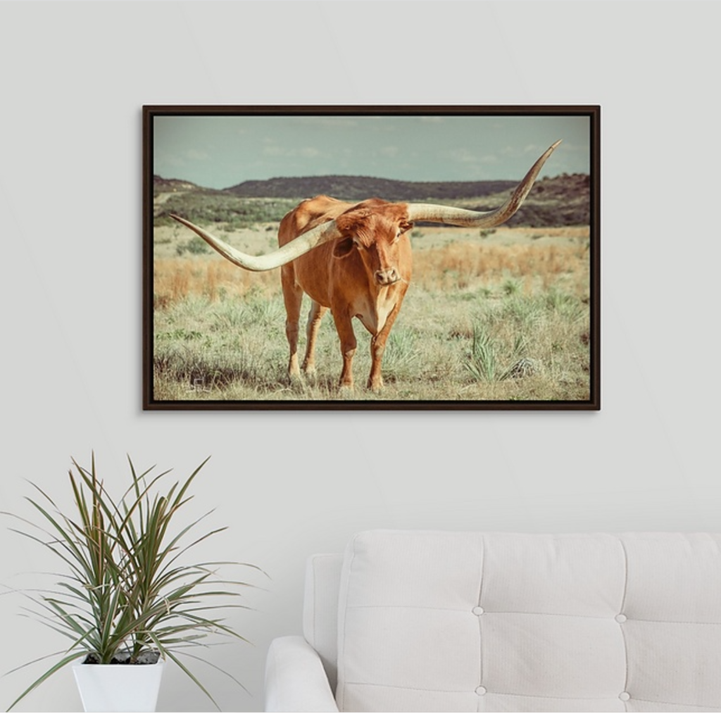 Vintage Longhorn Cattle Art for Your Wall or Office - A Cowboy's Wife