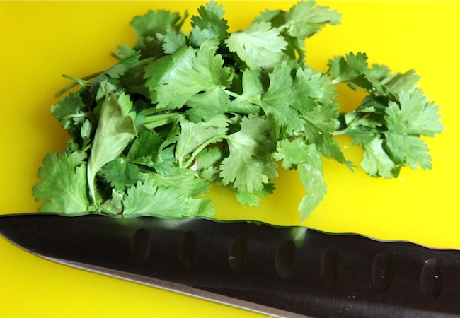 fresh cilantro - A Cowboy's Wife
